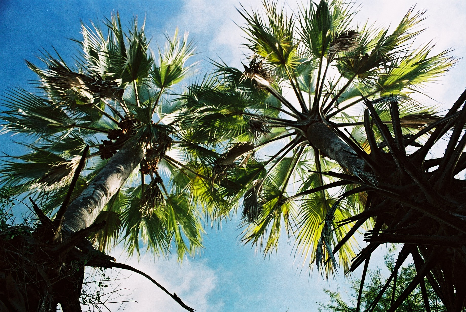 Publications – Stasja Koot